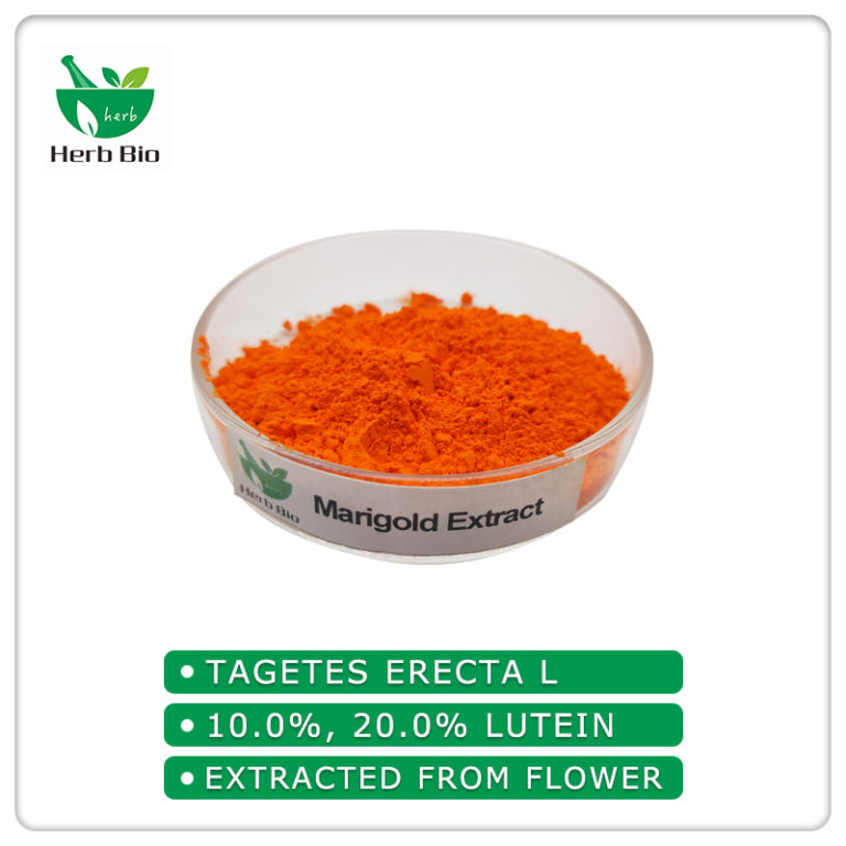 Popular Best Marigold Extract Supplier - Xi'an Herb Bio
