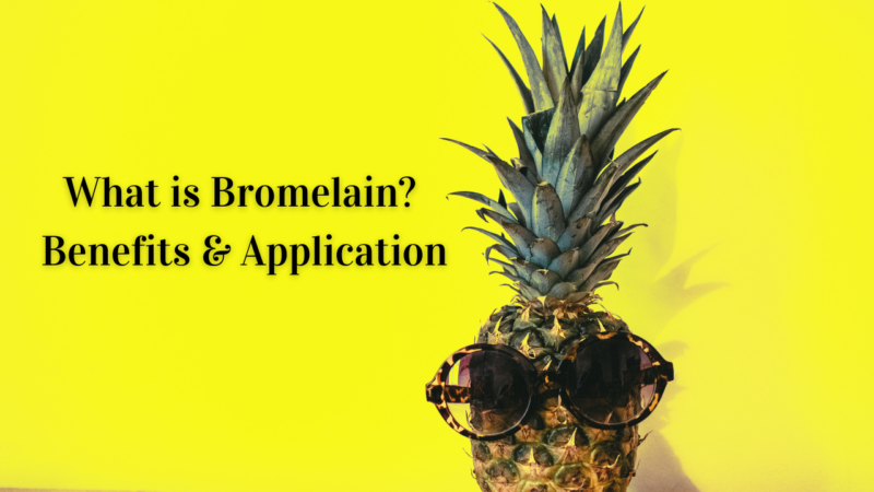 What is Bromelain? Benefits & Application - Herb bio (Herbal Extract ...