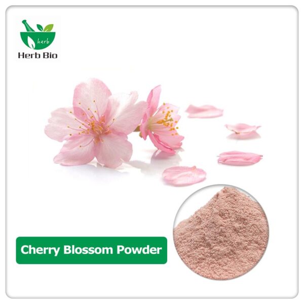 100% Natural China Cherry Blossom Powder Suppliers - Xi'an Herb Bio