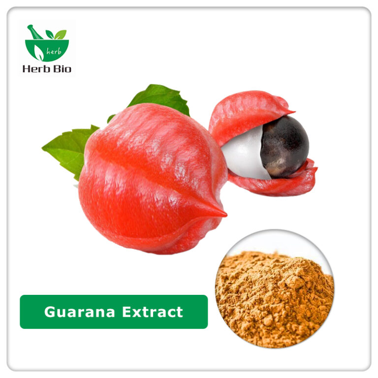 100% Natural Guarana Extract China Suppliers - Xi'an Herb Bio