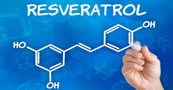 What is Resveratrol, what are its benefits, and how does it compare ...